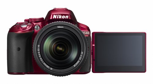 Nikon D5300 24.2 MP CMOS Digital SLR Camera with 18-140mm f/3.5-5.6G ED VR Auto Focus-S DX NIKKOR Zoom Lens - International Version (No Warranty)