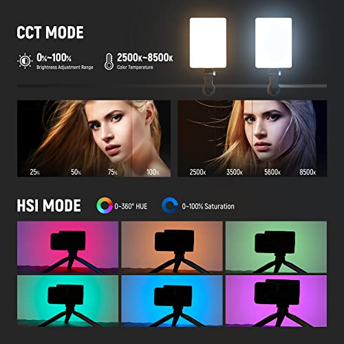 NEEWER RGB LED Light for Phone with Phone Holder & Light Clip, Dimmable CRI 97+ 3 Modes Phone Light, Built in 2000mAh Battery for Tablet/Laptop/Video Conference/TikTok/Selfie/Vlog/Live Stream, VL66C