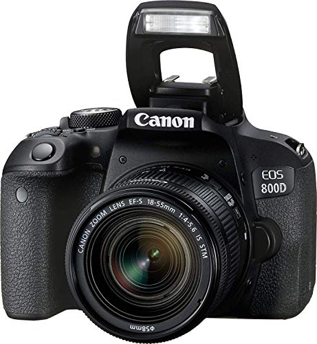 800D (T7i) DSLR Camera with EF-S 18-55mm f/4-5.6 is STM Lens Bundle, Starter Kit with Accessories (Gadget Bag, Extra Battery, Digital Slave Flash, 128Gb Memory, 50" Tripod and More)