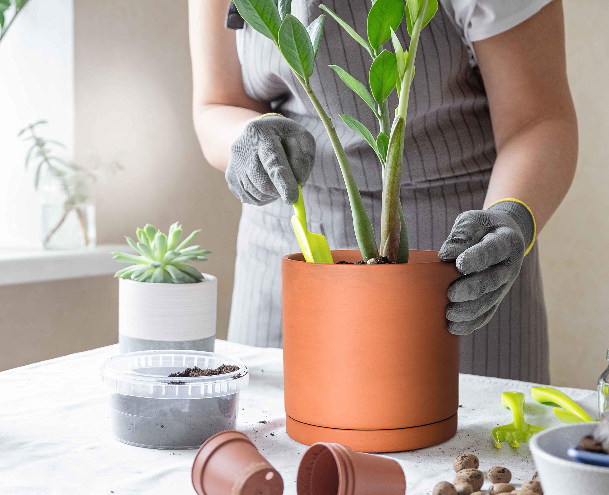 D'vine Dev Medium 8 Inch Terracotta Plant Pot with Drainage Hole and Saucer, Round Cylinder Planter Pot for Indoor Plants, 40-X-A-4