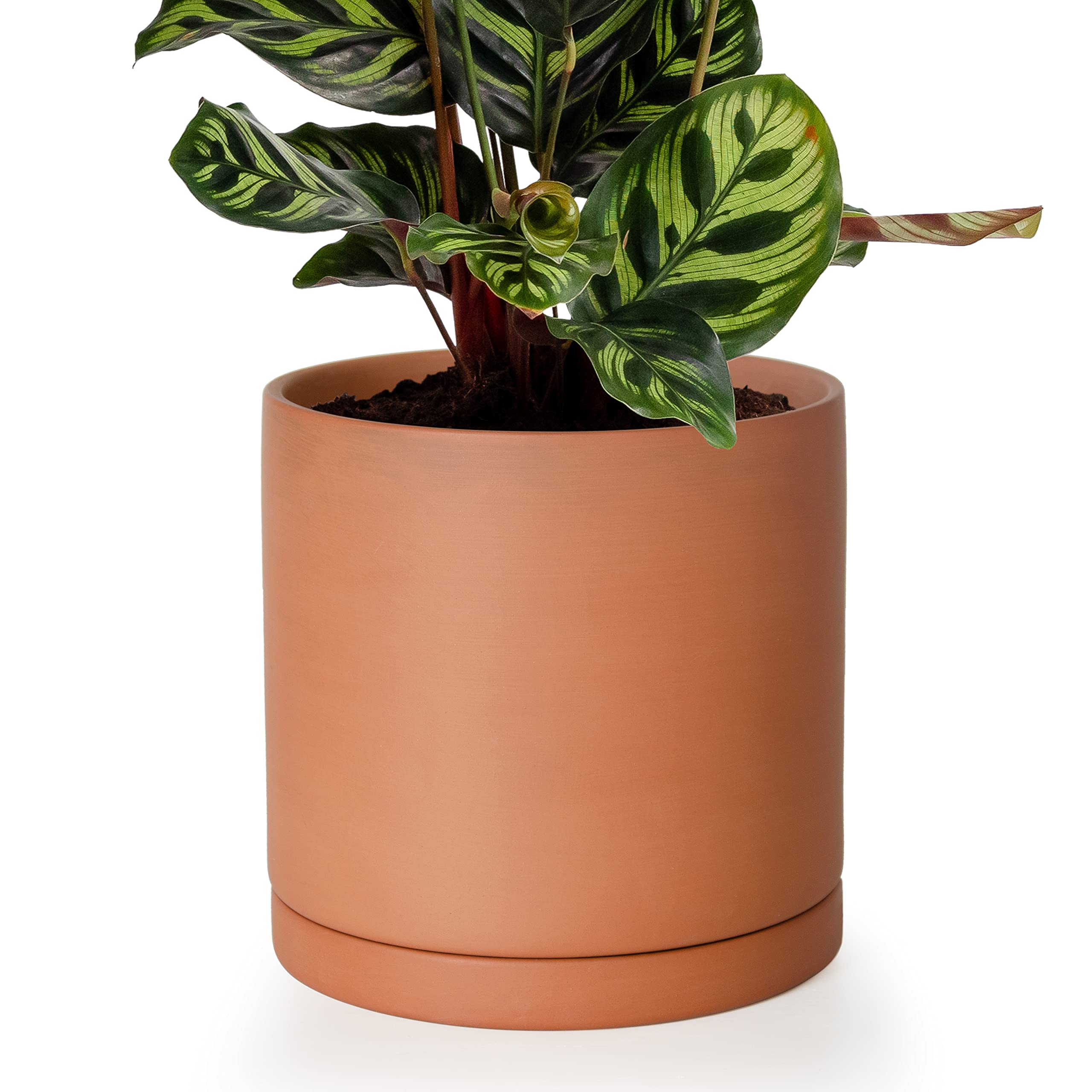 D'vine Dev Medium 8 Inch Terracotta Plant Pot with Drainage Hole and Saucer, Round Cylinder Planter Pot for Indoor Plants, 40-X-A-4