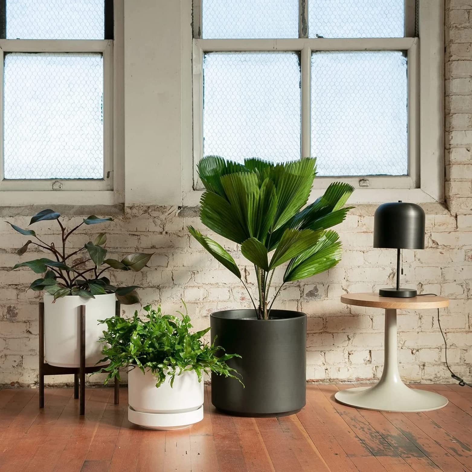 Elly Décor 12 inch Round Cylinder Plastic Planter with Drainage, Round Classic Smooth Texture, Lightweight & Extremely Durable 12" x 12" Cylinder Pot Black