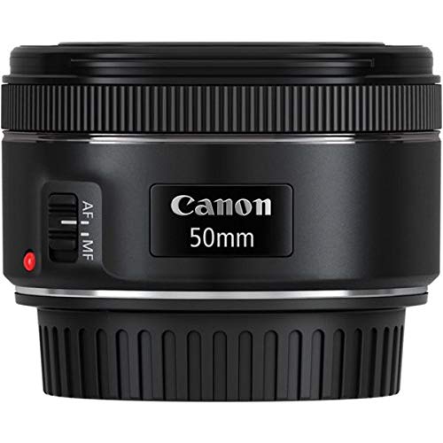 Canon Portrait and Travel Two Lens Kit with 50mm f/1.8 and 10-18mm Lenses