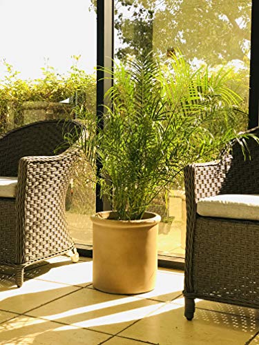 Kante Large Concrete Round Classic Planter for Outdoor, Desert Sand 13.8" x 13.8" x 13.8"