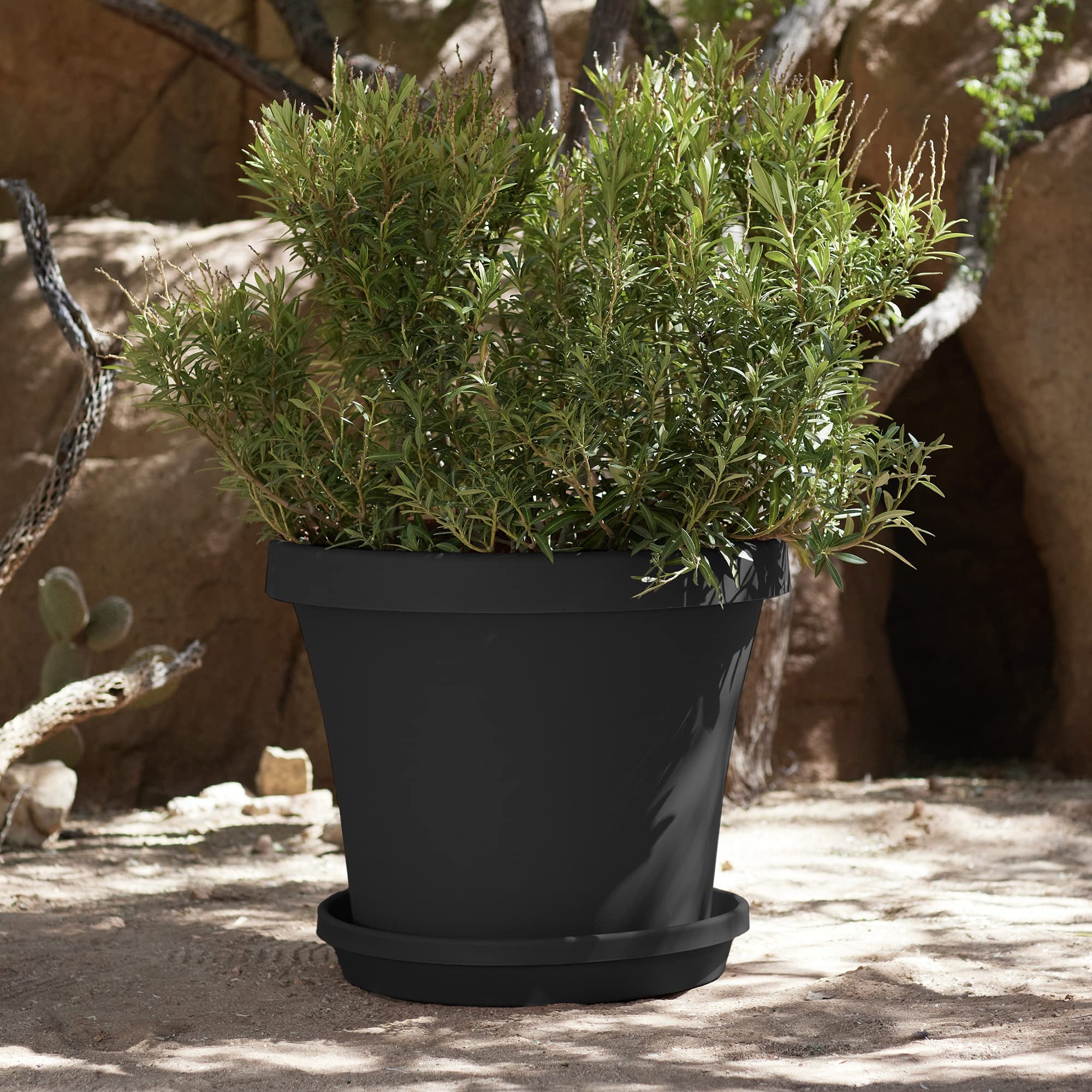 Bloem Terra Pot Round Drain Saucer: 24" - Black - Tray for 17-24", Matte Finish, Durable Resin, Ribbed Bottom, for Indoor and Outdoor Use, Gardening, Planter Not Included, 17.5"