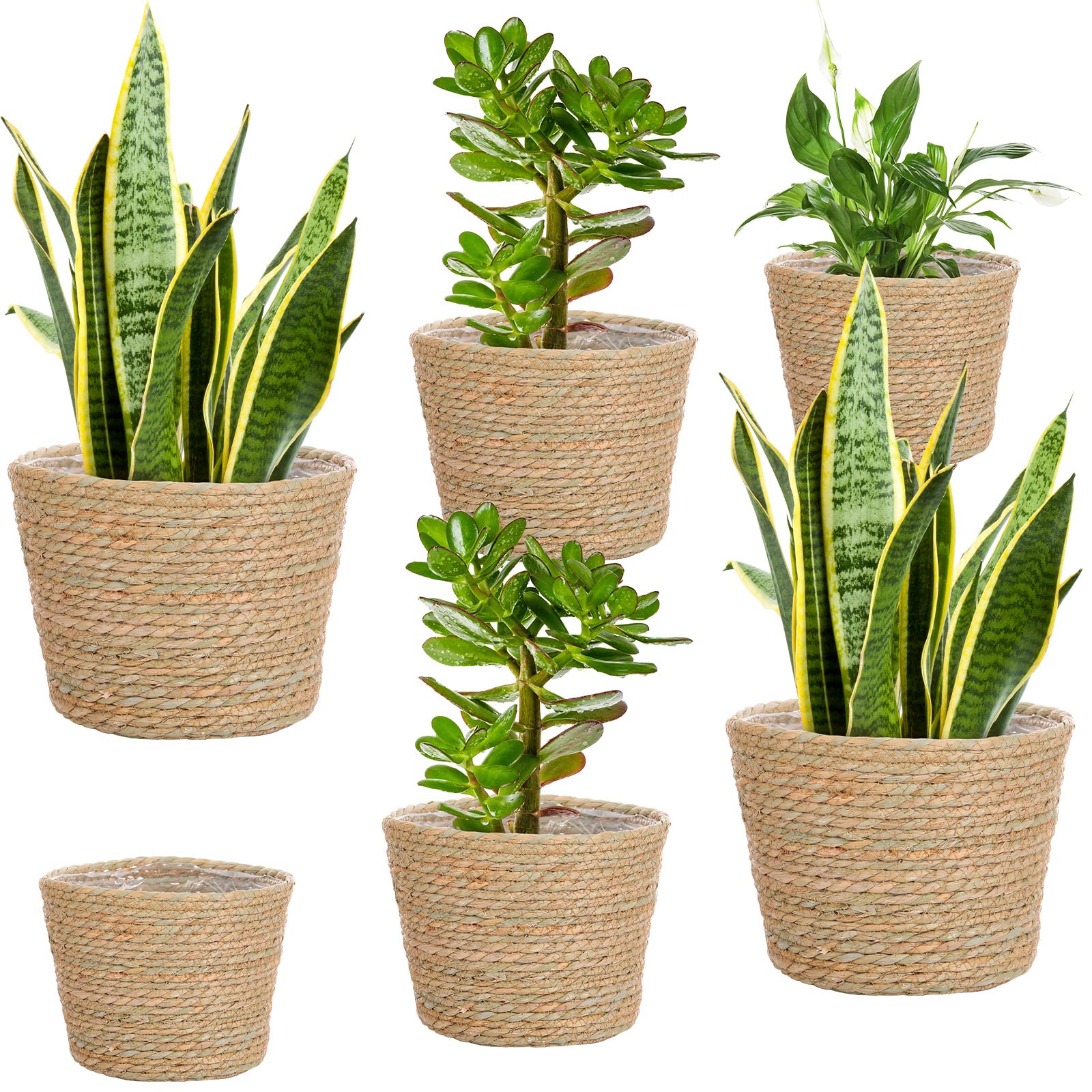 Mumufy 6 Pcs Seagrass Planter Basket Flower Pots Cover Plant Baskets Hand Woven Plant Basket Storage Containers with Plastic Liners for Indoor Outdoor Flower Pots Decoration 10, 7, 8.3 Inch(Classic)