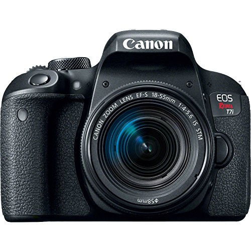 Canon Cameras US 24.2MP Digital SLR Camera Bundle with 3" LCD, Black (1894C021)