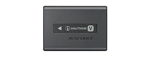 Sony NPFV100A Rechargeable Battery Pack (Black)