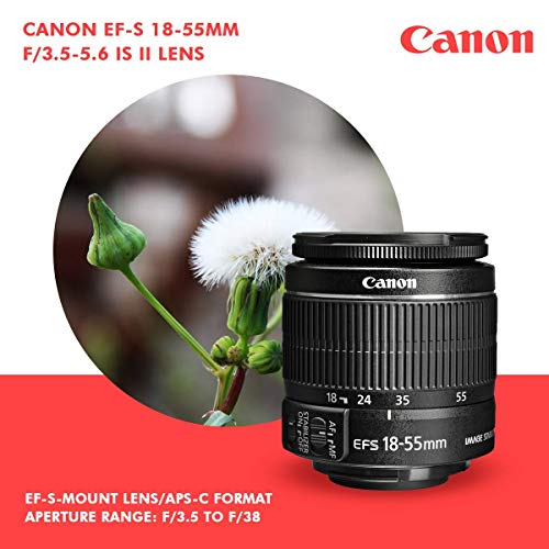 Canon T7 EOS Rebel DSLR Camera with EF-S 18-55mm f/3.5-5.6 is II Lens W/Telephoto & Wideangle Lens 3 Pc. Filter Kit + Tripod + Flash & 2 X 32GB SD Card and Basic Accessory Kit