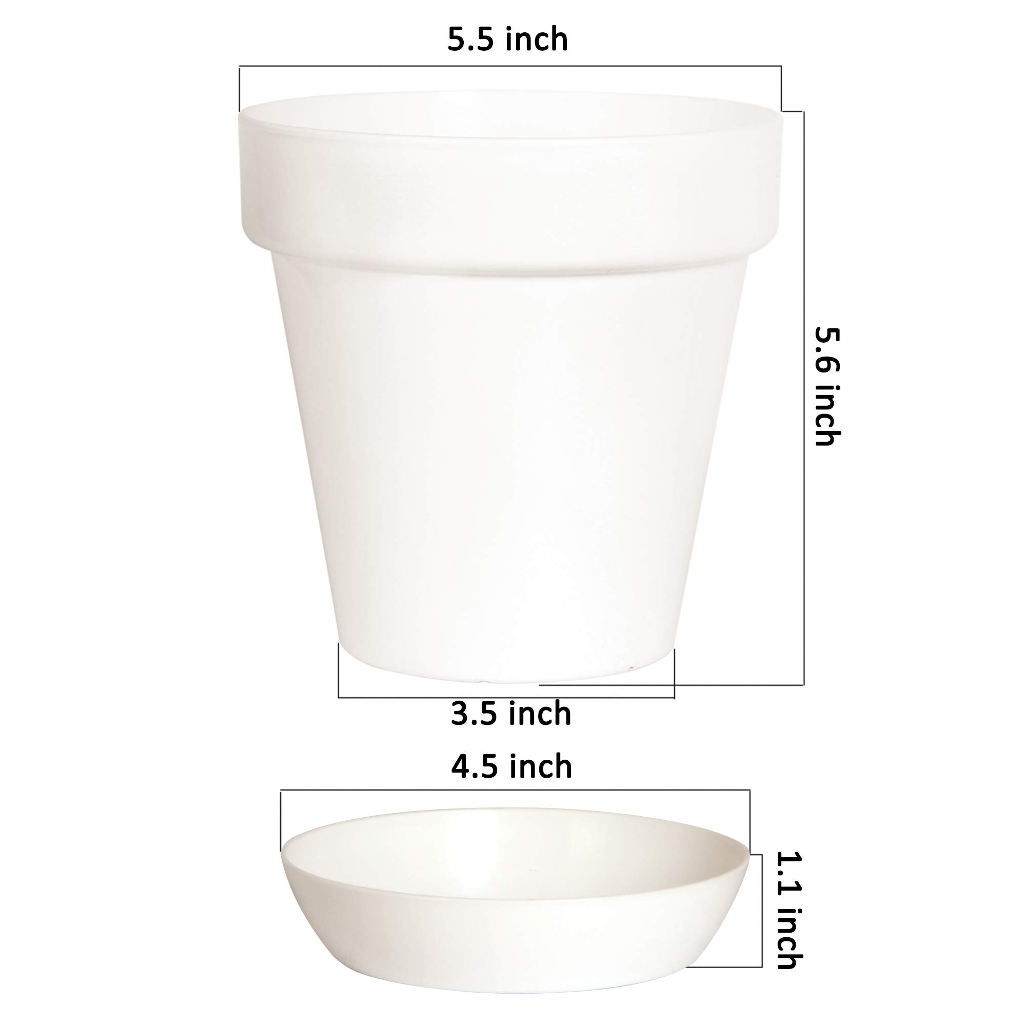 Youngever 8 Pack 5.5 Inch Plastic Planters Indoor Flower Plant Pots, Classic Decorative Gardening Pot with Drainage Holes (White with Saucers)