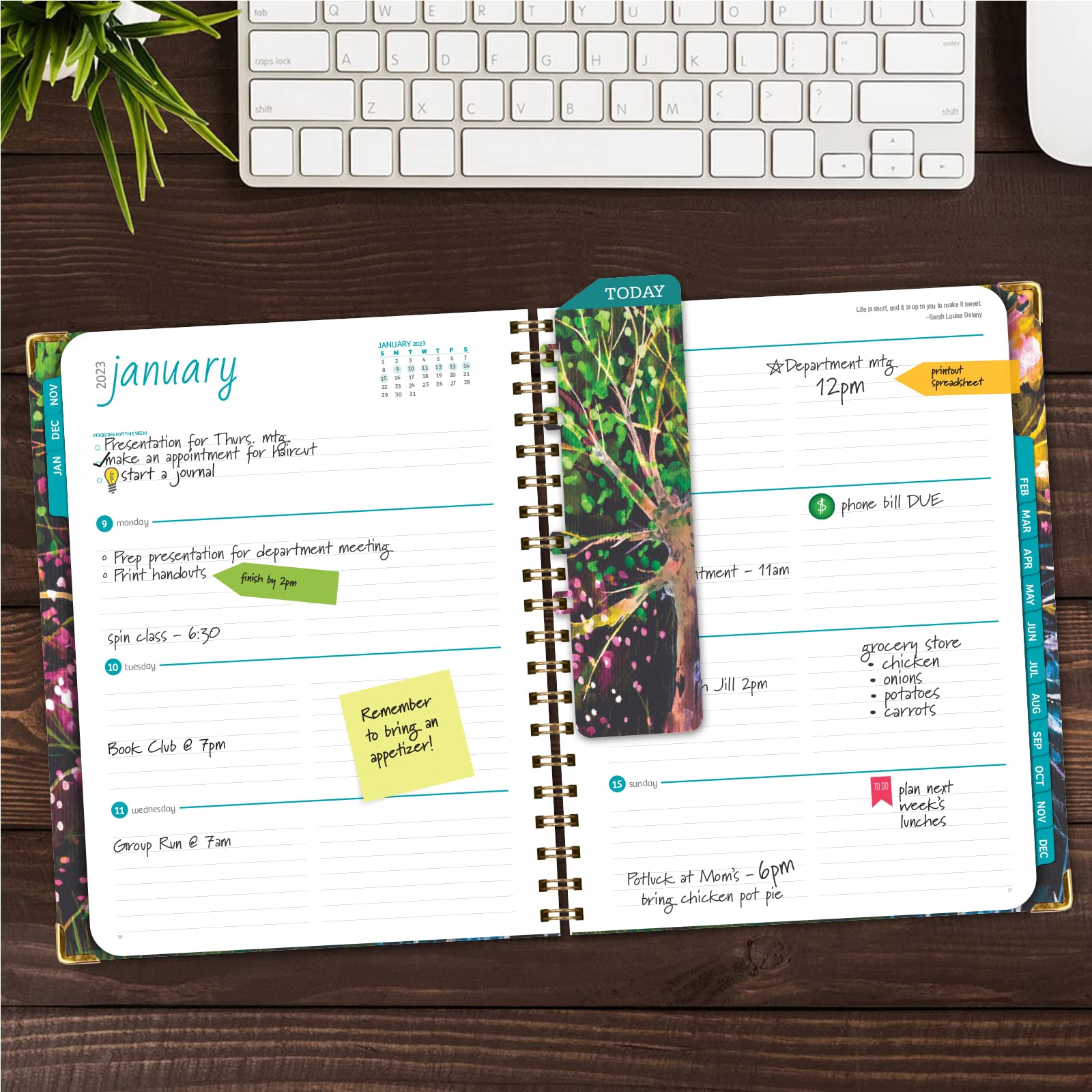 HARDCOVER 2023 Planner: (November 2022 Through December 2023) 8.5"x11" Daily Weekly Monthly Planner Yearly Agenda. Bookmark, Pocket Folder and Sticky Note Set (Black Tree Seasons)