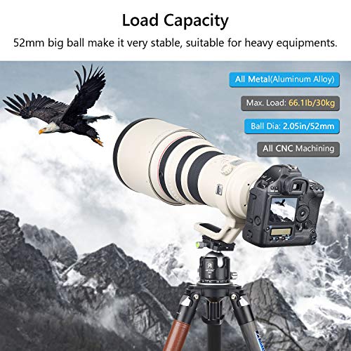 Low Profile Ball Head Tripod Mount Ball Head 52mm Diameter ARTCISE LB52 All Metal CNC Machining with Two 1/4" Quick Release Plates for Tripod, Monopod, DSLR, Camcorder,Max Load 66lbs /30kg