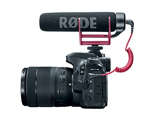 Canon Video Creator Kit, EOS 80D with EF-S 18–135mm Lens, Rode Videomic Go, and 32GB Sandisk Memory Card, Black