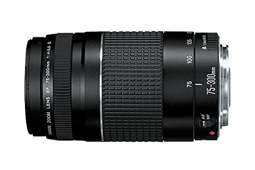 Canon EOS Rebel T5 Digital SLR Camera with EF-S 18-55mm is II + EF 75-300mm f/4-5.6 III Bundle