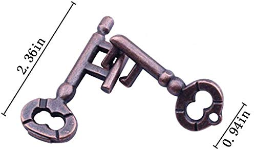Brain Teaser Puzzle for Adults Puzzles Metal Hole Lock Adult Educational Toy Jigsaw IQ Puzzle (Ferrous)