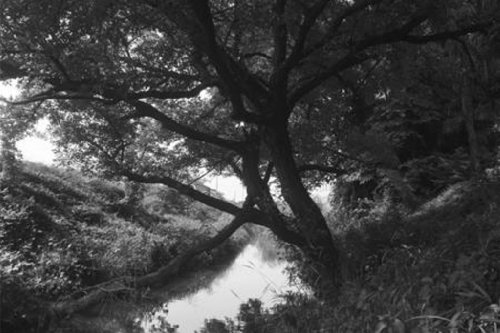 Hoya 67mm Infrared R72 Filter (Y1IR72067)