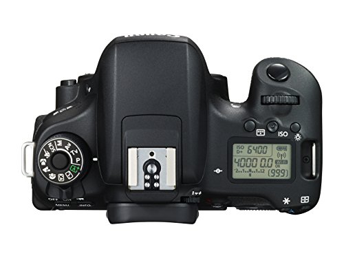 Canon EOS Rebel T6s Digital SLR (Body Only)