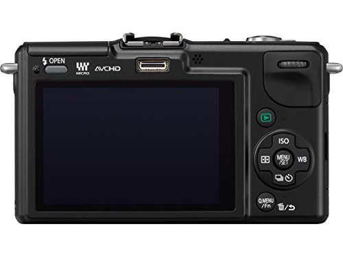 Panasonic Lumix DMC-GF2 12 MP Micro Four-Thirds Mirrorless Digital Camera with 3.0-Inch Touch-Screen LCD and 14-42mm Lens (Black)