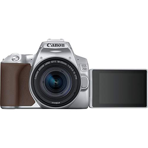 Canon EOS 250D (Rebel SL3) DSLR Camera w/ 18-55mm is STM Lens (Silver) (International Model)