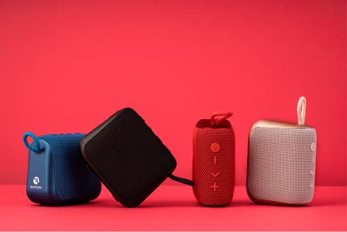 Raycon Everyday Speaker with Microphone IP67 Dustproof and Waterproof TWS Multilink Bluetooth 5.0 Portable Outdoor Wireless Speaker for Home, Outdoors, Travel (Carbon Black)