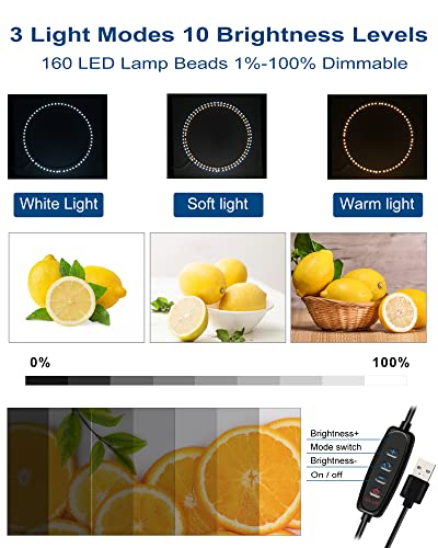 Upgraded PULUZ Photo Studio Light Box 16"/40cm Portable Foldable Photo Light Tent, Professional Tri-Color Dimmable Shooting Tent Kit with 144 LED Lights & 6 Backgrounds (12 Colors)