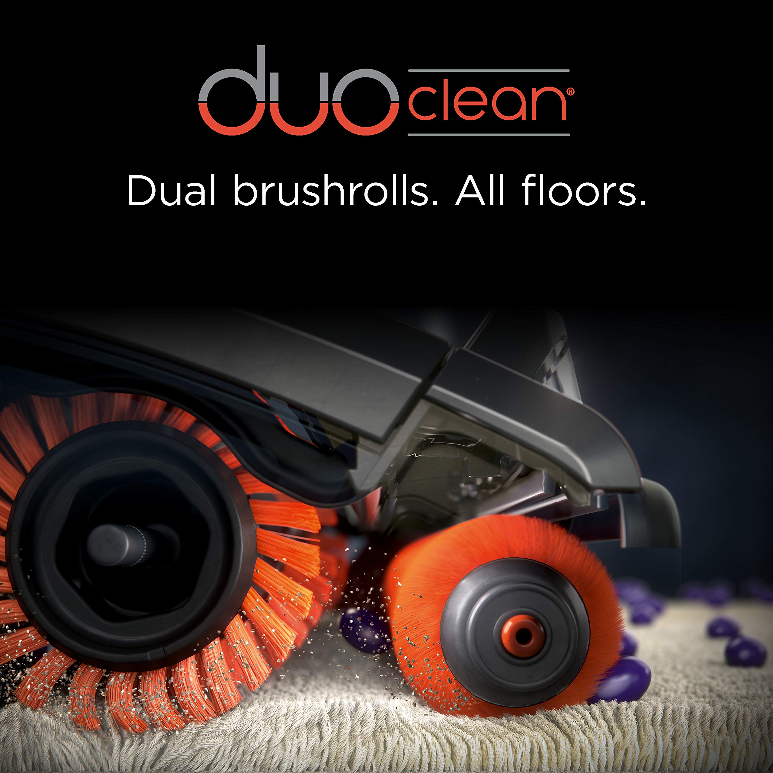 Shark AZ1002 Apex Powered Lift-Away Upright Vacuum with DuoClean & Self-Cleaning Brushroll, Crevice Tool, Upholstery Tool & Pet Power Brush, for a Deep Clean on & Above Floors, Espresso