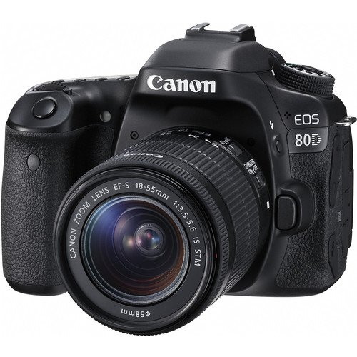 Canon EOS 80D DSLR Camera with EF-S 18-55mm is STM +64 GB SD Memory Card +Sunshine Pro Bundle