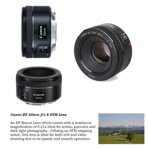Canon EOS 6D Mark II DSLR Camera w/ 24-105mm STM Lens Bundle + Canon EF 75-300mm III Lens, Canon 50mm f/1.8 and 500mm Preset Lens + Deluxe Backpack + 64GB Memory + Monopod + Professional Bundle