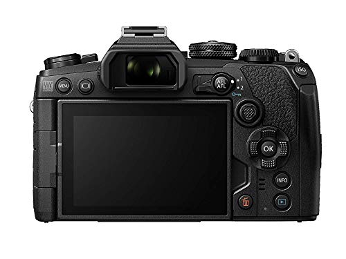 Olympus OM-D E-M1 Mark III Black Camera Body with M.Zuiko Digital ED 12-100mm F4.0 IS PRO Lens