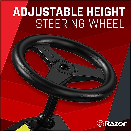 Razor Ground Force Elite-Electric Go-Kart for Ages 13+, Up to 14 MPH, Up to 40 Minutes of Continuous Use, 350-watt Chain-Driven Motor, Forward/Reverse Drive Switch, 36V Rechargeable Battery,Black, Large