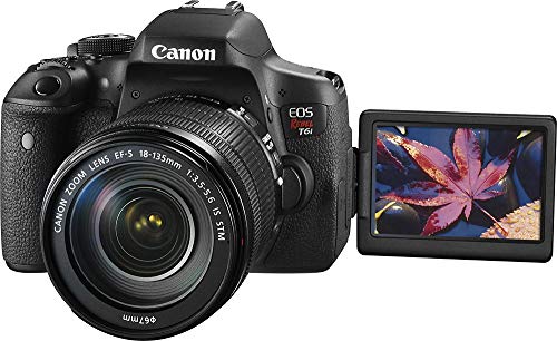 Canon T6i EOS Rebel DSLR Camera with EF-S 18-135mm f/3.5-5.6 is STM Lens+ Advanced Sunshine Bundle