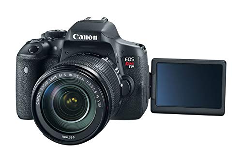 Canon T6i EOS Rebel DSLR Camera with EF-S 18-135mm f/3.5-5.6 is STM Lens+ Advanced Sunshine Bundle