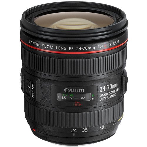 Canon EOS 5D Mark IV DSLR Camera and Canon EF 24-70mm f/4L is USM Lens + 2 Flash System with Deluxe Accessory Kit (4-Pack Photo/Video Editing Software, Pro Microphone w/Windshield and More) (Renewed)
