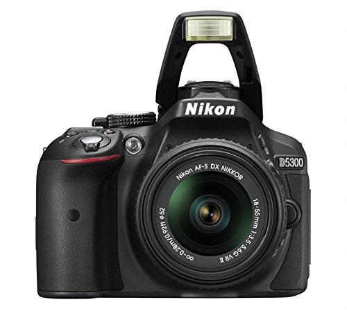 Nikon D5300 24.2 MP CMOS Digital SLR Camera Double Zoom Lens Kit with 18-55mm f/3.5-5.6G ED VR II + 55-200mm f/4.5-5.6G - International Version (No Warranty)