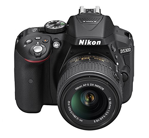 Nikon D5300 24.2 MP CMOS Digital SLR Camera Double Zoom Lens Kit with 18-55mm f/3.5-5.6G ED VR II + 55-200mm f/4.5-5.6G - International Version (No Warranty)