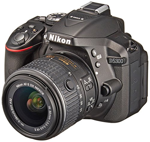 Nikon D5300 24.2 MP CMOS Digital SLR Camera Double Zoom Lens Kit with 18-55mm f/3.5-5.6G ED VR II + 55-200mm f/4.5-5.6G - International Version (No Warranty)