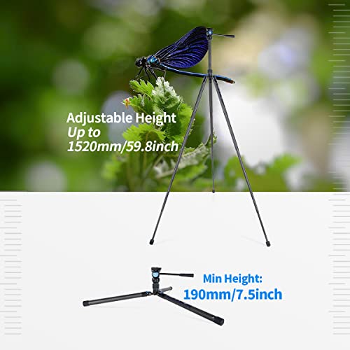 SIRUI Carbon Fiber Tripod Lightweight 2lbs with Panoramic Video Head, 59.8” Compact Camera Tripod Quick Release Leg Setup, Reversible Center Column, Reverse Folding Legs, Max Load 11lbs - Traveler X
