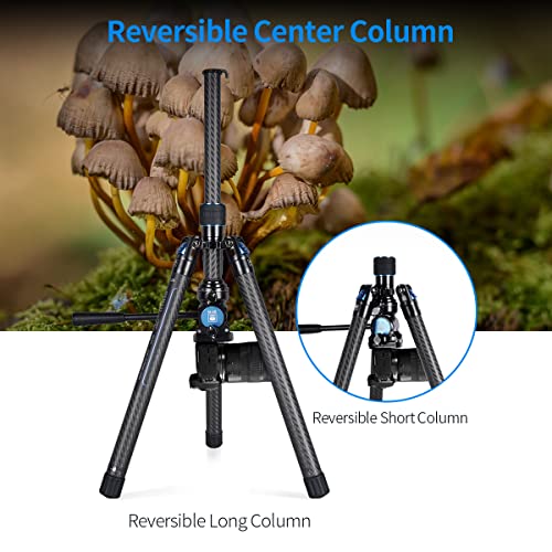 SIRUI Carbon Fiber Tripod Lightweight 2lbs with Panoramic Video Head, 59.8” Compact Camera Tripod Quick Release Leg Setup, Reversible Center Column, Reverse Folding Legs, Max Load 11lbs - Traveler X
