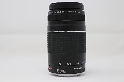 Canon EOS 5D Mark IV DSLR Camera Bundle with EF 50mm f1.8 STM Lens + EF 75-300mm f4-5.6 III Lens + 256Gb Memory, Accessories, Black, full-size (1483C002)