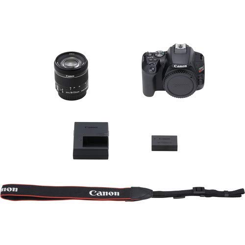 Canon EOS Rebel SL3 DSLR Camera Bundle with Canon EF-S 18-55mm STM Lens & EF 75-300mm III Lens + 32GB Sandisk Memory + Camera Case + Digital Flash + Accessory Bundle (Renewed)