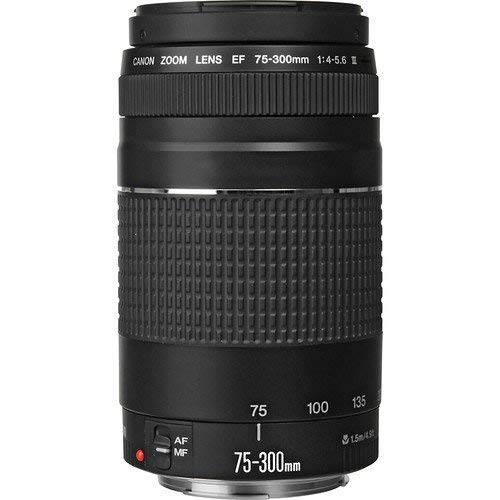Canon EOS Rebel T7 DSLR Camera w/ 2 Canon Lenses (18-55mm f/3.5-5.6 is II and EF 75-300mm f/4-5.6 III)+ Photo/Video Editing Software & Deluxe Accessory Kit (Renewed)
