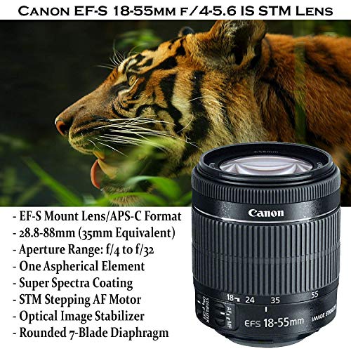 Canon EOS Rebel SL3 DSLR Camera (Black) w/EF-S 18-55mm f/4-5.6 is STM Lens + Wide-Angle and Telephoto Lenses + Portable Tripod + Memory Card + Deluxe Accessory Bundle (Renewed)