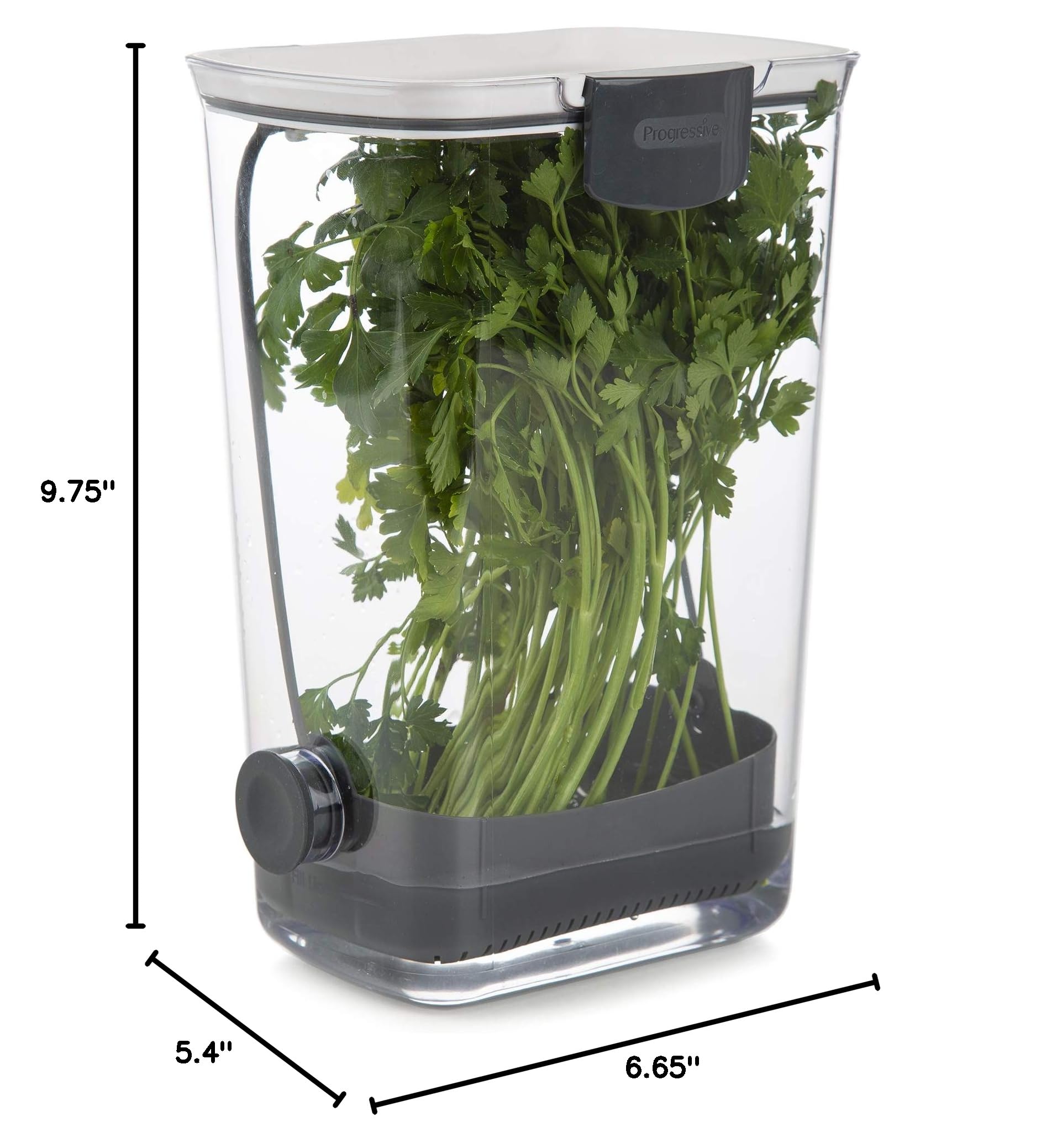 Progressive International PKS-930 BPA-Free Plastic ProKeeper Herb Keeper with Removable Silicone Drain Plug, 1 Piece, White