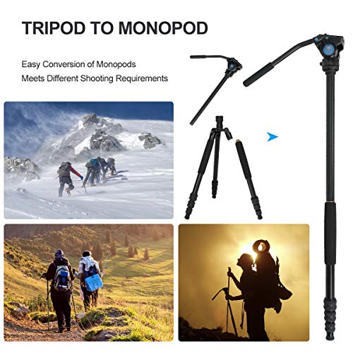 Sirui 2-in-1 Traveler Series Aluminum Video Tripod with VA-5 Fluid Head for Cameras Monopod Conversion 26.5lbs Load Capacity 62.6Inch 360 Degree Panning Base 1/4" and 3/8" Screws (Traveler VA)