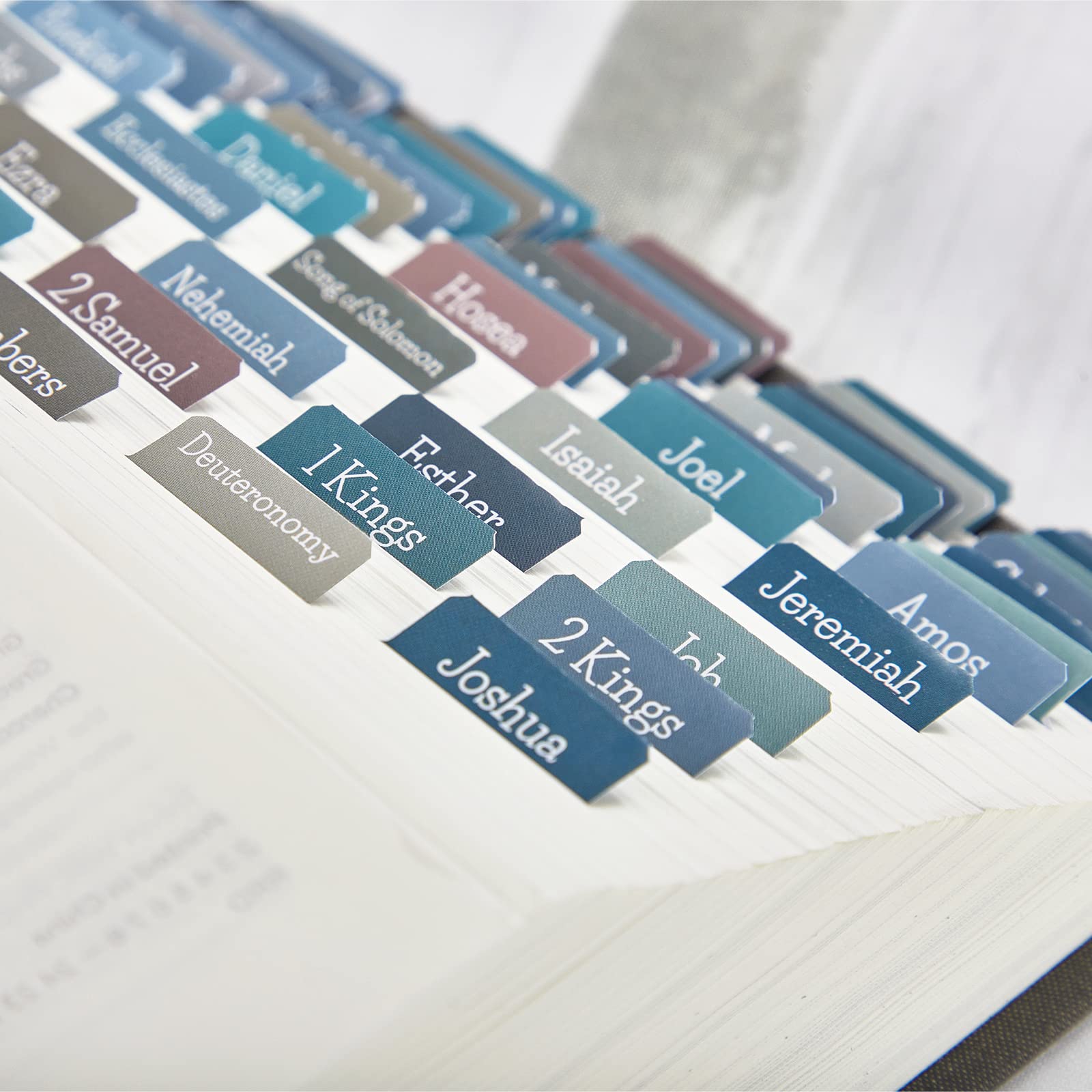Earthy Blue Bible Tabs for Women and Men, Large Print Laminated Bible Tabs, Easy to Read, Easy to Apply, Bible Journaling Tabs