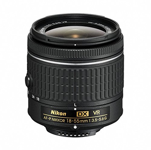 Nikon D7500 DX-Format Digital SLR w/AF-P DX NIKKOR 18-55mm f/3.5-5.6G VR Lens + Professional Accessory Bundle
