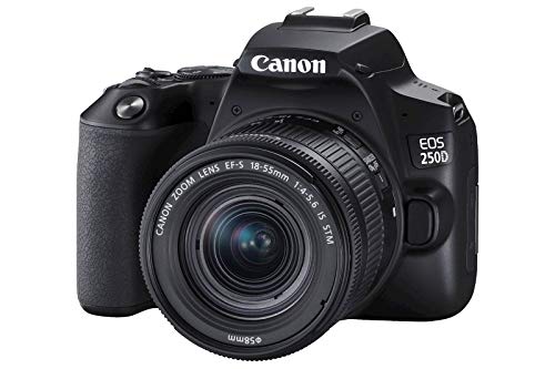 Canon EOS 250D (Rebel SL3) DSLR Camera w/ 18-55mm is STM Lens (International Model) (Black)