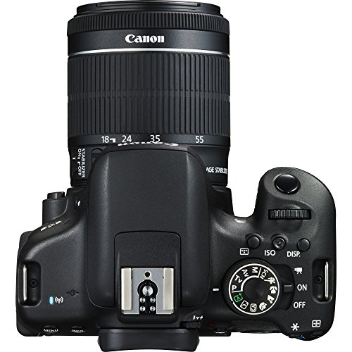 Canon EOS Rebel T6i DSLR Camera with EF-S 18-55mm f/3.5-5.6 is II and EF 75-300mm f/4-5.6 III Lens and 2X 16GB Memory Card Plus Triple Battery Accessory Bundle
