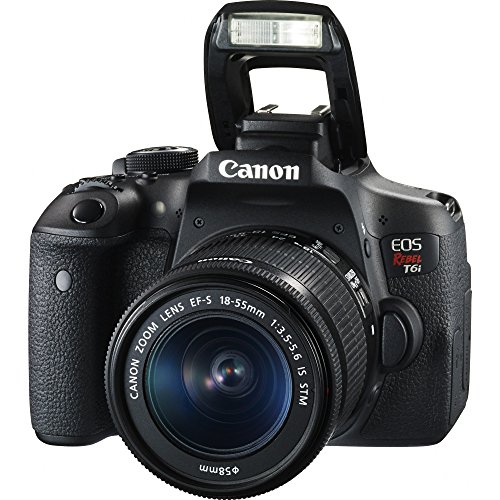 Canon EOS Rebel T6i DSLR Camera with EF-S 18-55mm f/3.5-5.6 is II and EF 75-300mm f/4-5.6 III Lens and 2X 16GB Memory Card Plus Triple Battery Accessory Bundle