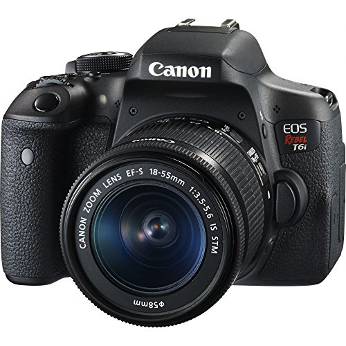 Canon EOS Rebel T6i DSLR Camera with EF-S 18-55mm f/3.5-5.6 is II and EF 75-300mm f/4-5.6 III Lens and 2X 16GB Memory Card Plus Triple Battery Accessory Bundle